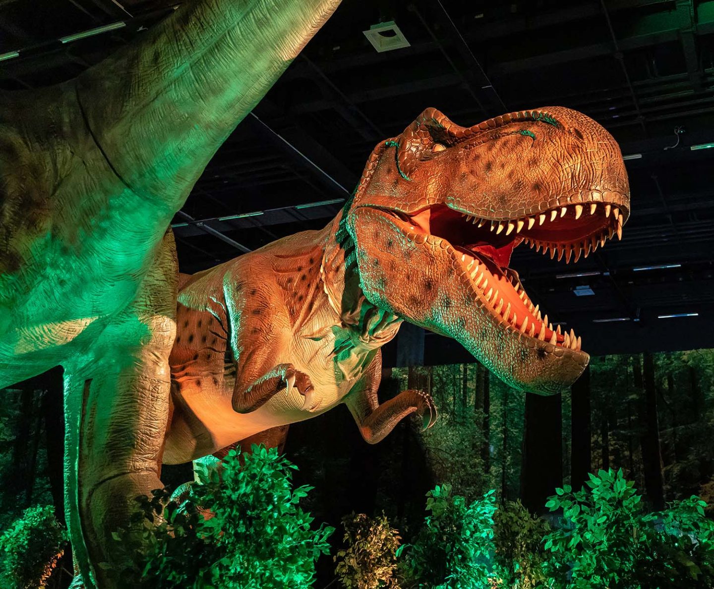 Dinosaurs invade Tampere Hall – the family-friendly summer exhibition ...
